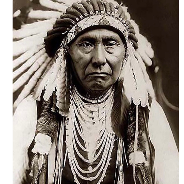 Chief Gray Horse, Black & White – Loft Essentials